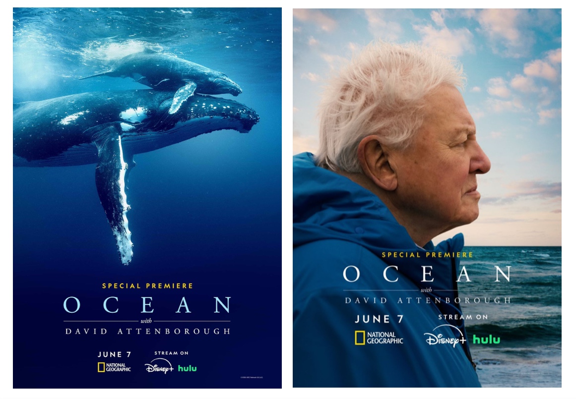 Ocean with David Attenborough – The Not Left Handed Film Guide